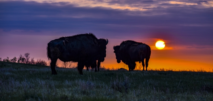 Home | NDHIN | North Dakota Health Information Network